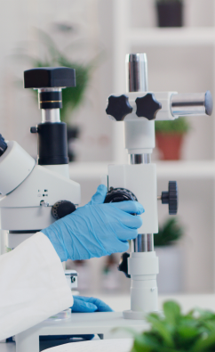 Our technology – Linari Nanotech